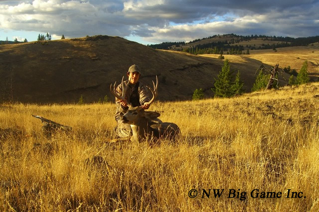 New Northwest Big Game Inc. – Hunt Elk or Mule Deer in Oregon